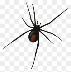 Spider Clipart Images 8 Spider Clip Art Vector Image - Redback Spider ...