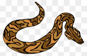 Anaconda Animal Snakes Png Transparent Images Clipart - Brown Snake ...