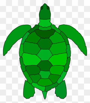 Turtle Animal Reptile Water Green Ocean Shell - Sea Turtle Clipart ...