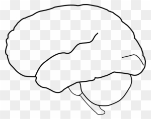 Empty Brain Clipart Outline