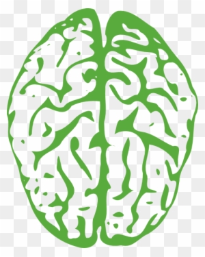 Brain, Transparent PNG Clipart Images Free Download - ClipartMax