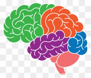 Brain Clipart, Transparent PNG Clipart Images Free Download - ClipartMax