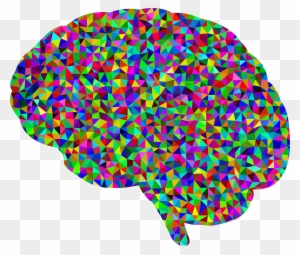 Brain, Transparent PNG Clipart Images Free Download - ClipartMax