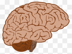 Weak Brain Cliparts - Illustration - Free Transparent PNG Clipart ...