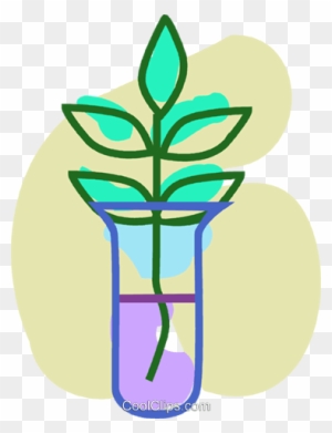 Test Tube And Beaker Royalty Free Vector Clip Art Illustration ...