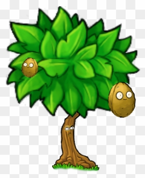 Wall Tough Tree Nuts Clipart - Tree Nut Allergy - Free Transparent PNG ...