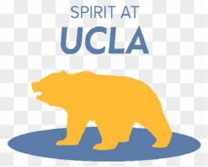 Grizzly Bear Clipart Ucla - Bruin Bear Png Ucla - Free Transparent PNG ...