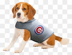 Specialty Chicago Cubs - Thunder Buddy For Dogs - Free Transparent PNG ...