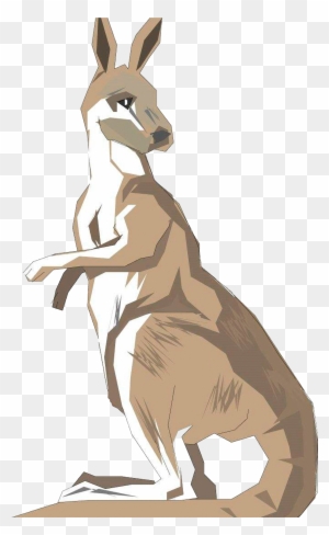 Kangaroo Australia Png Clipart - Kangaroo .png - Free Transparent PNG ...