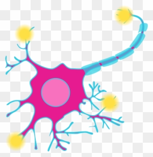 Unlabeled Brain Diagram 20, Buy Clip Art - Neuron Without Labels - Free ...
