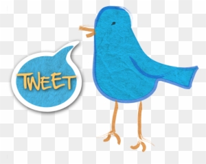 Twitter Bird Illustration - Mountain Bluebird - Free Transparent PNG ...