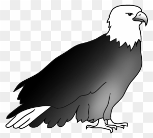 Bald Eagle - Line Drawing Of Eagle - Free Transparent PNG Clipart ...