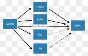 Sample2 - Buffer Science Example - Free Transparent PNG Clipart Images ...