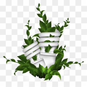 Euclidean Vector Illustration - Portable Network Graphics - Free Transparent PNG Clipart Images ...