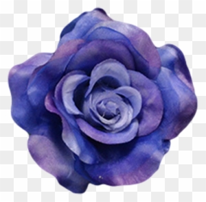 Navy Blue - Garden Roses - Free Transparent PNG Clipart Images Download