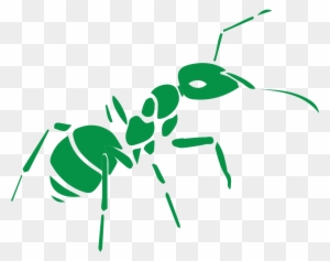 Ant - Vevtor Ant - Free Transparent PNG Clipart Images Download