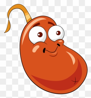 More Information - Plants Vs Zombies Bean - Free Transparent PNG ...