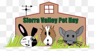 Rabbit Hay, Hay For Your Rabbit Or Other Small Pet, - Hay - Free ...