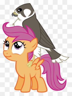 Astringe, Bird, Falcon, Female, Filly, Pegasus, Peregrine - Photography ...