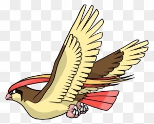 Pidgeot - Free Transparent PNG Clipart Images Download