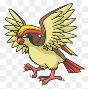 Pidgeot - Free Transparent PNG Clipart Images Download