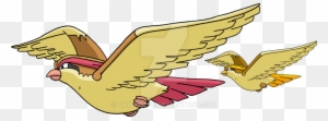 Pidgeot By Tails19950 - Pidgeot Png - Free Transparent PNG Clipart ...