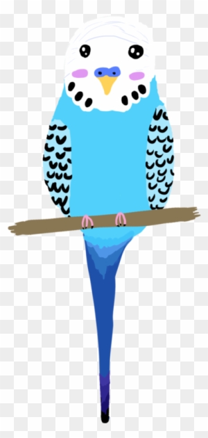 Budgie Cartoon Characters - Budgie Cartoon - Free Transparent PNG ...