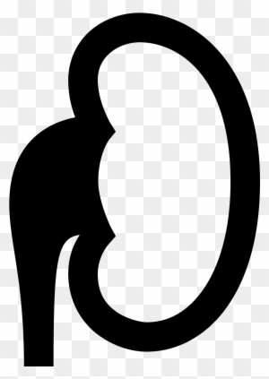 The Icon "kidney" Resembles In General Left Human Kidney - Icon Kidney ...