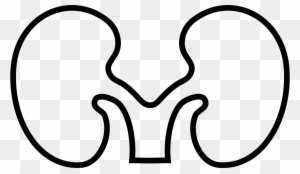 Kidney, Transparent PNG Clipart Images Free Download , Page 2 - ClipartMax