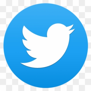 Follow Us - Transparent Background Twitter Logo - Free Transparent PNG ...