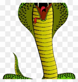Dangerous Snakes Images Clipart
