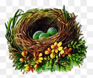 Bird Nest Egg Clip Art - Bird Nest - Free Transparent PNG Clipart ...