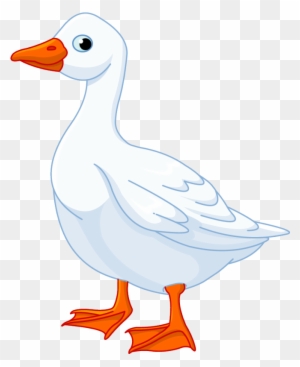 Resultado De Imagen De Dibujos De Oca - Domestic Farm Animals Clipart ...