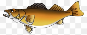 Walleye Clip Art, Transparent PNG Clipart Images Free Download - ClipartMax