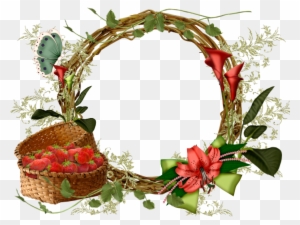 Album - Tinypic - Free Transparent PNG Clipart Images Download