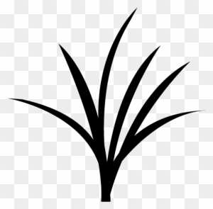 Rice Field / Paddy Field - Rice Field Map Symbol - Free Transparent PNG ...