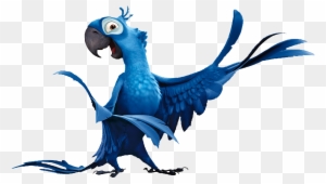 Macaw Download Png - Parrot Transparent Background - Free Transparent ...