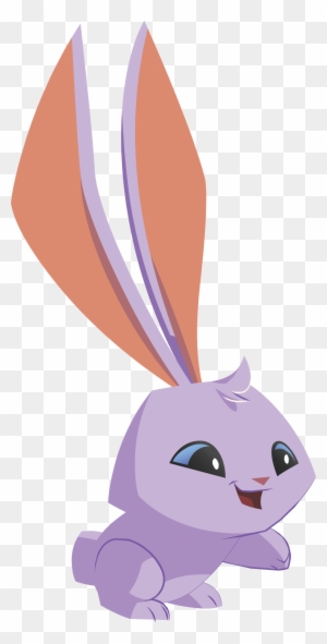 Land Animal Clipart Pictures