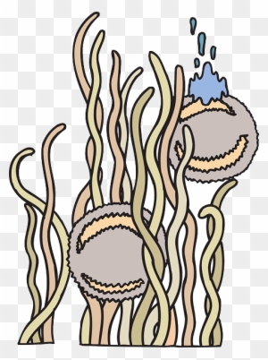 Fuzzy Floating, Anemone, Creatures, Sea, Underwater, - Anemon Laut Png ...