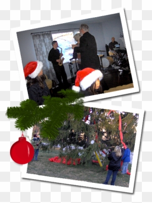 Clipart For Tree Trimming & Clip Art For Tree Trimming - Tree Trimming ...