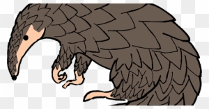 Pangolin Drawing - Free Transparent PNG Clipart Images Download