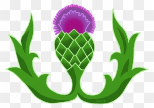 Thistle Clipart - Thistle Clip Art Transparent - Free Transparent PNG ...