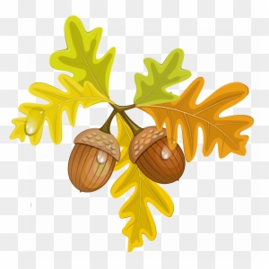 Acorn Clipart, Transparent PNG Clipart Images Free Download - ClipartMax