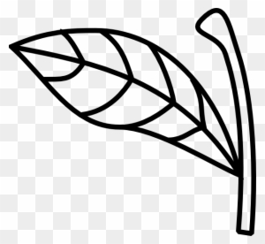 Stem And Leaf Clipart, Transparent PNG Clipart Images Free Download ...