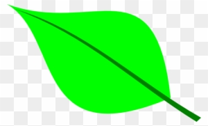 Small Leaf Clip Art - Green Leaf Clip Art - Free Transparent PNG ...