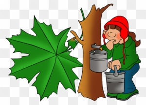 Maple Syrup Clipart, Transparent PNG Clipart Images Free Download ...