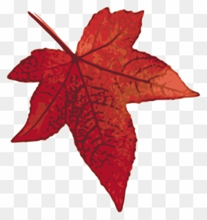 Leaf Clip Art - Maple Leaf Clip Art - Free Transparent PNG Clipart ...