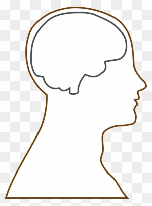 Clipart Human Head