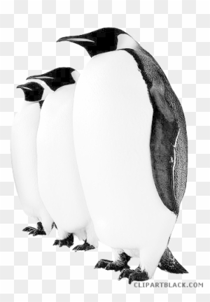 Image - Emperor Penguin Clip Art - Free Transparent PNG Clipart Images ...