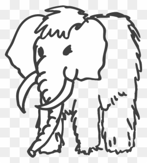 Tusk Clipart, Transparent PNG Clipart Images Free Download - ClipartMax